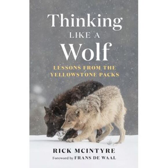 Rick McIntyre | Other | Thinking Like A Wolf Lessons From The ...